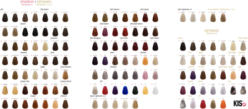 KIS Kleurenkaart | Hairaction.nl